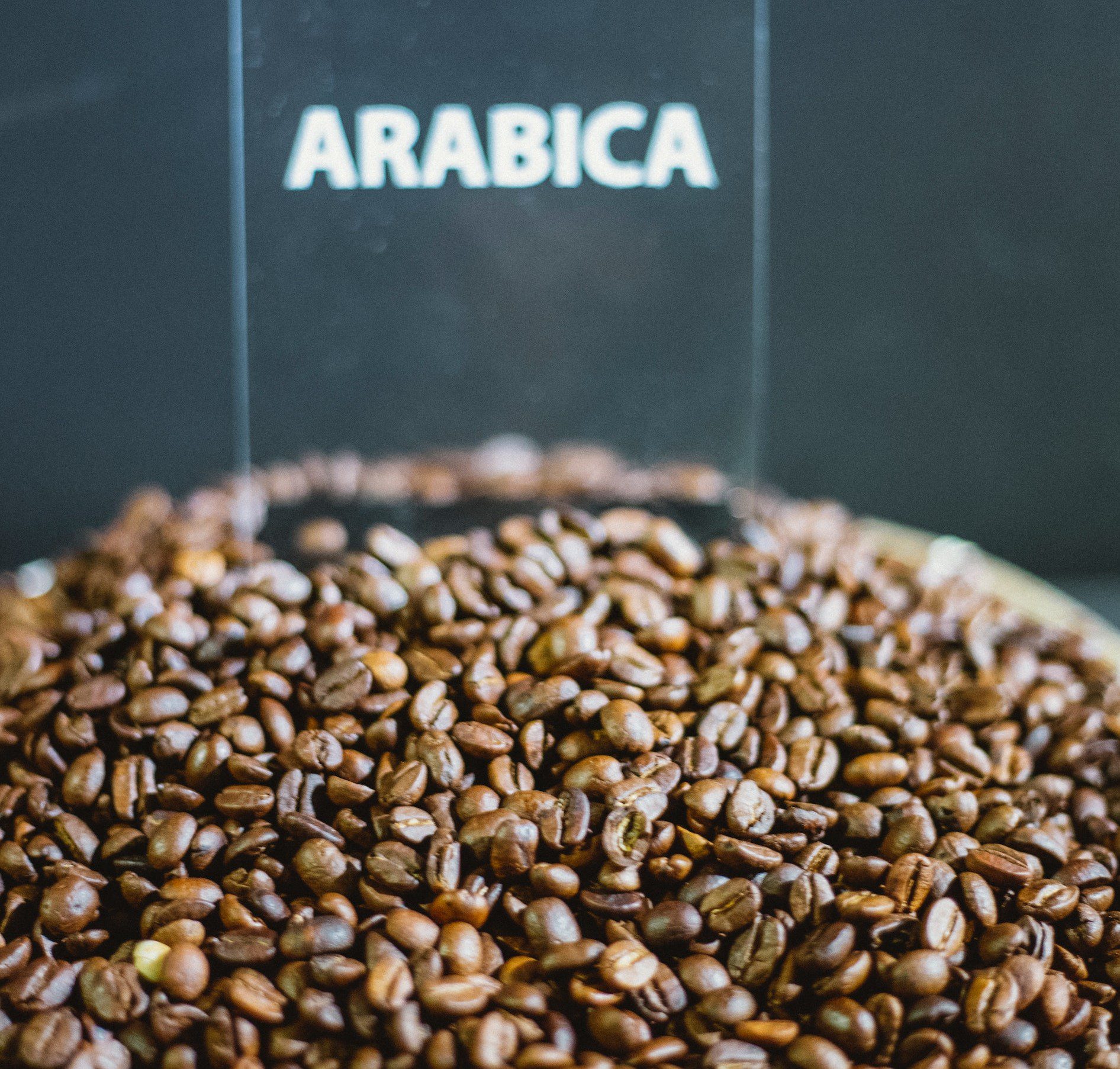 Coffee Bean Origin By Botanical Information And Classification
